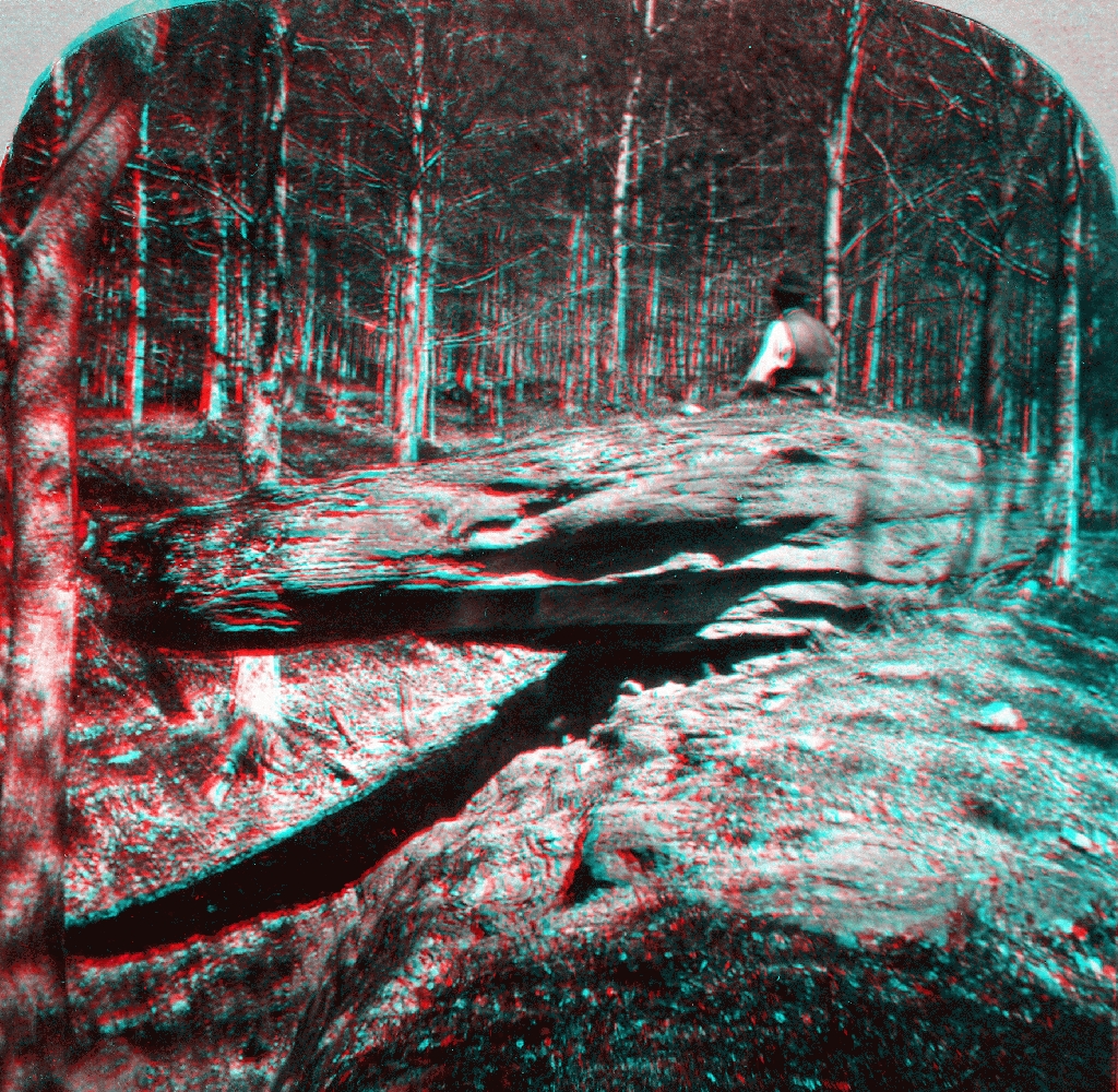 View in 3D