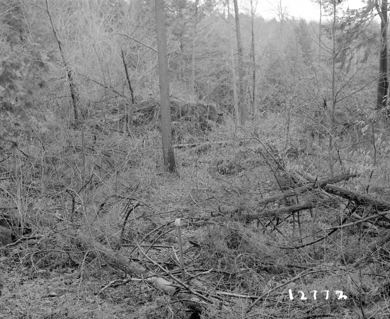 See Slide image